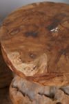 Teak Root Side Table | AnthroLiving