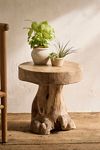 Teak Root Side Table | AnthroLiving