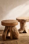 Teak Root Side Table | AnthroLiving