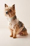 Wild One Dog Harness | Anthropologie