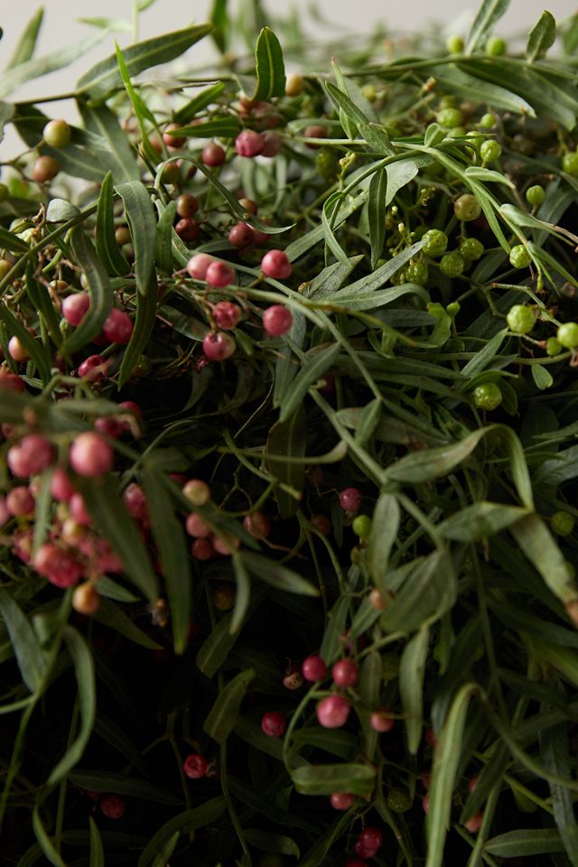 Fresh Pepperberry Branch Bunch | AnthroHome