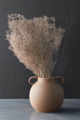 Dried Gypso Bunch | AnthroHome