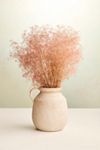 Dried Gypso Bunch | AnthroLiving