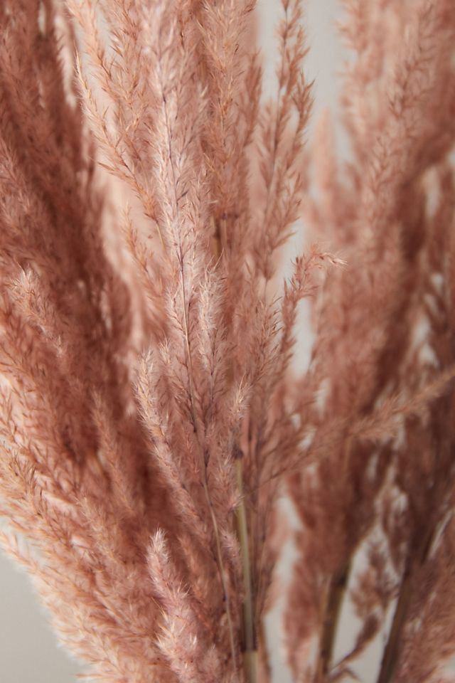 Dried Pampas Grass Bunch Terrain