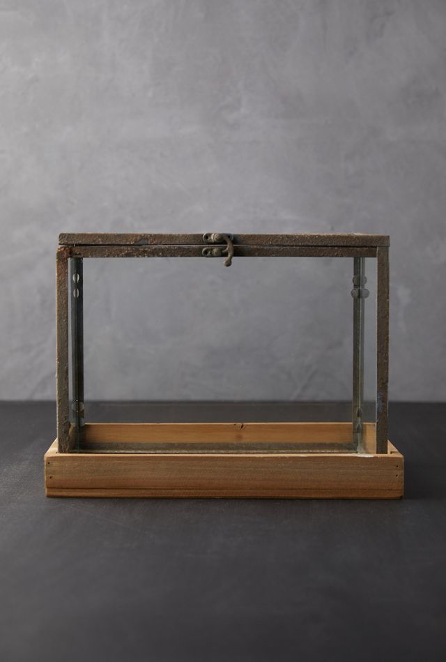 Tabletop Greenhouse | Anthropologie