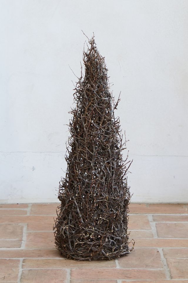 Preserved Mossy Cone | Terrain