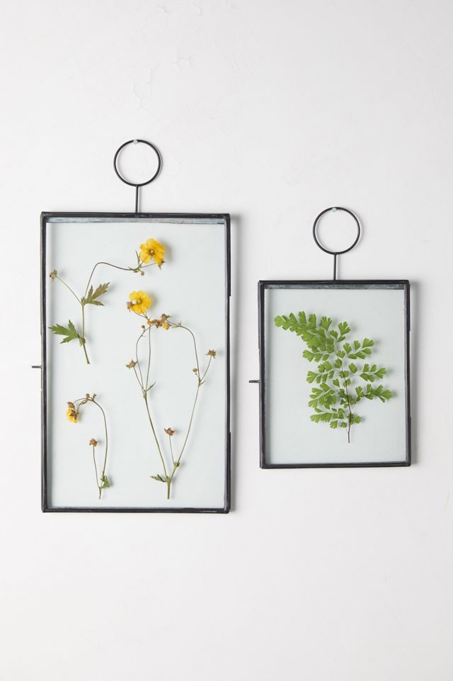 Iron Hoop Ring Frame | Terrain