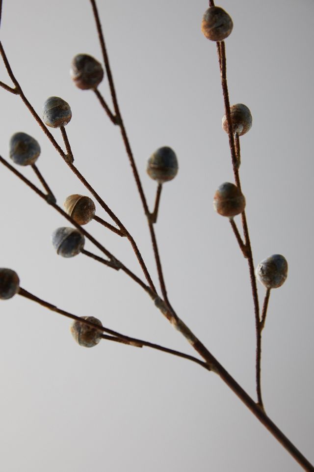 Iron Pussy Willow Stem Anthrohome