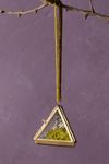 Triangle Lantern Ornament | Anthropologie