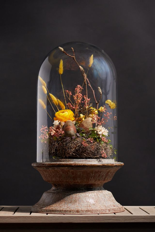 Distressed Zinc Cloche | AnthroHome