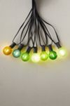 Stargazer Garden Lights Color Story Bulbs, Set of 7 Bulbs | AnthroLiving