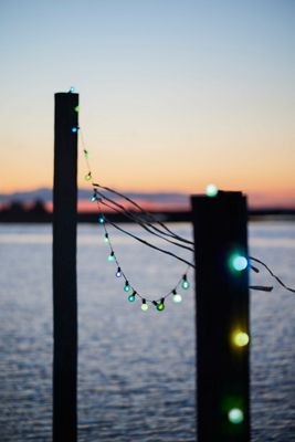 Stargazer Collection | Terrain