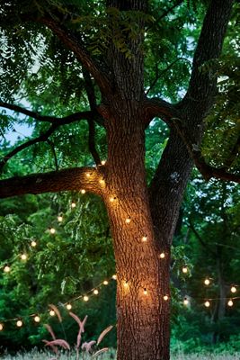 Holiday Lighting | String Lights, Lanterns + LED Lighting | Terrain