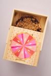 Pie Bake-And-Take Box | Anthropologie