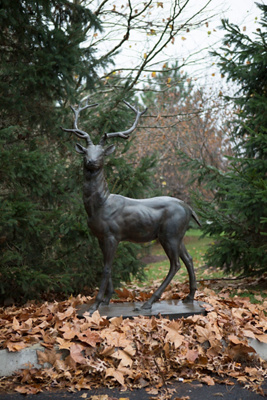 Alpine Iron Stag, Standing | AnthroHome
