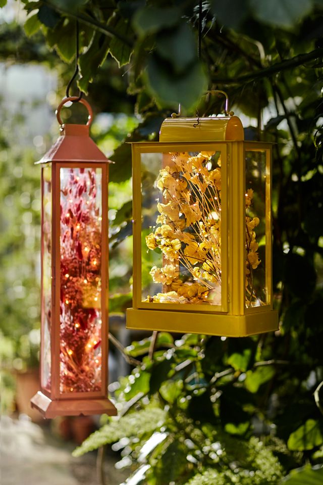 Stargazer Party Pack Mini LED Light Strands, Set of 6 | AnthroHome