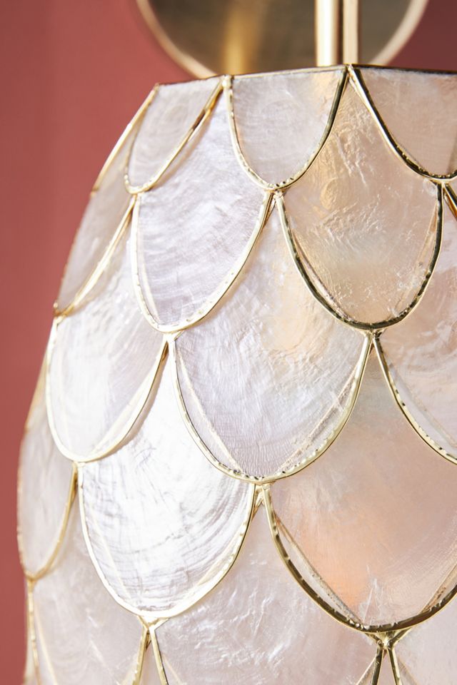 Phillipa Capiz Sconce | Anthropologie