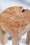 Teak Root Stool | AnthroLiving