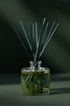 Frasier Fir Reed Diffuser | Anthropologie