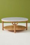 Arches Coffee Table | AnthroLiving