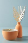 Good Natured Soy Reed Diffuser | Anthropologie