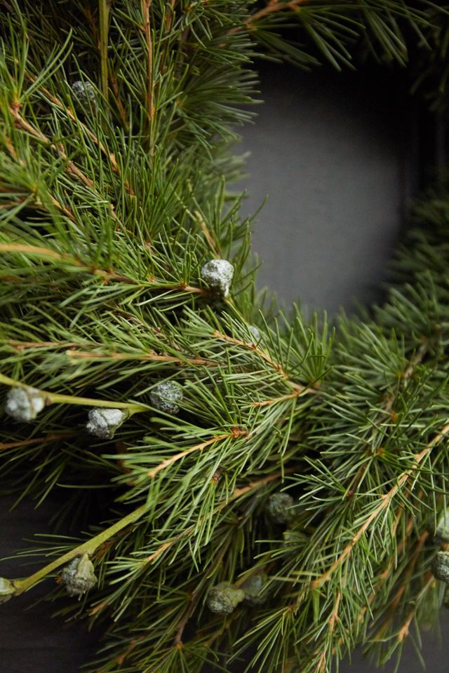 Fresh Blue Atlas Cedar + Silver Bell Eucalyptus Wreath | AnthroLiving