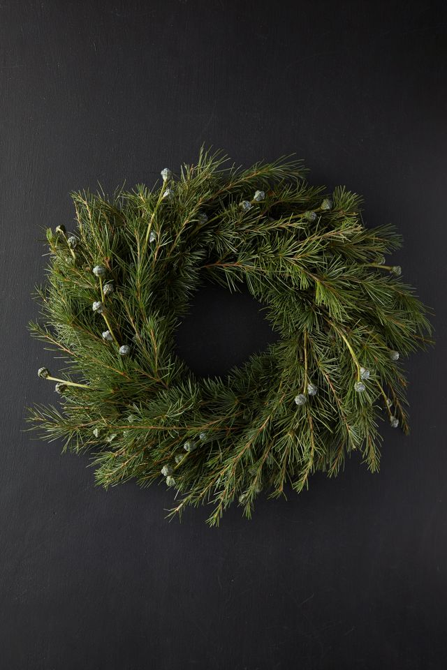 Fresh Blue Atlas Cedar + Silver Bell Eucalyptus Wreath | Anthropologie