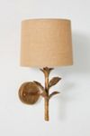 Flourish Sconce | AnthroLiving
