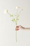 Faux Ranunculus Flower | Anthropologie