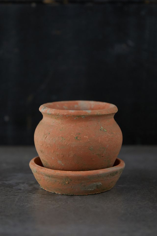 Earth Fired Clay Natural Curve Pots + Saucers, Set of 3 Sizes | Terrain Earth Fired Clay Natural Curve Pots + Saucers, Set of 3 Sizes | Terrain