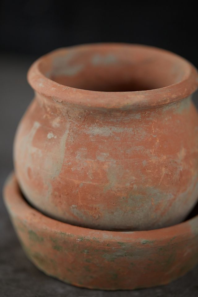 Earth Fired Clay Natural Curve Pots + Saucers, Set of 3 Sizes | Terrain Earth Fired Clay Natural Curve Pots + Saucers, Set of 3 Sizes | Terrain