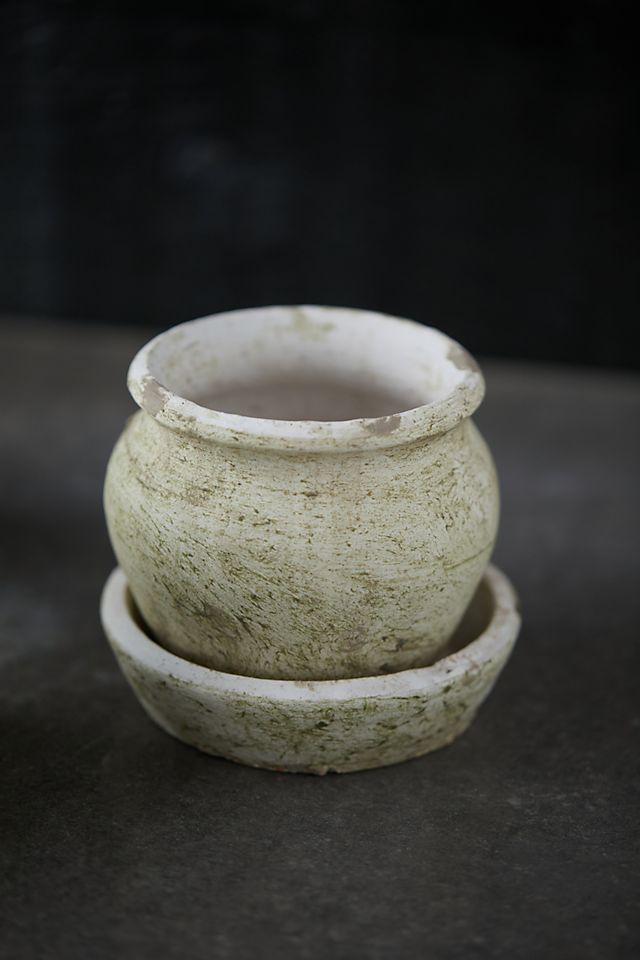 Earth Fired Clay White Curve Pots + Saucers, 3 Sizes Set | Terrain Earth Fired Clay White Curve Pots + Saucers, 3 Sizes Set | Terrain