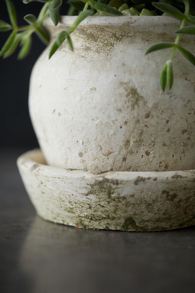 Earth Fired Clay White Curve Pots + Saucers, 3 Sizes Set | Terrain Earth Fired Clay White Curve Pots + Saucers, 3 Sizes Set | Terrain