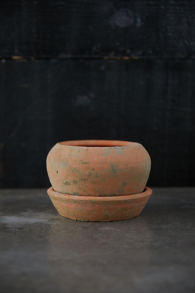 Earth Fired Clay Natural Curve Pots + Saucers, 2 Sizes Set | Anthropologie Earth Fired Clay Natural Curve Pots + Saucers, 2 Sizes Set | Anthropologie