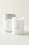Linnea Candle, Lavender Rosemary | AnthroLiving