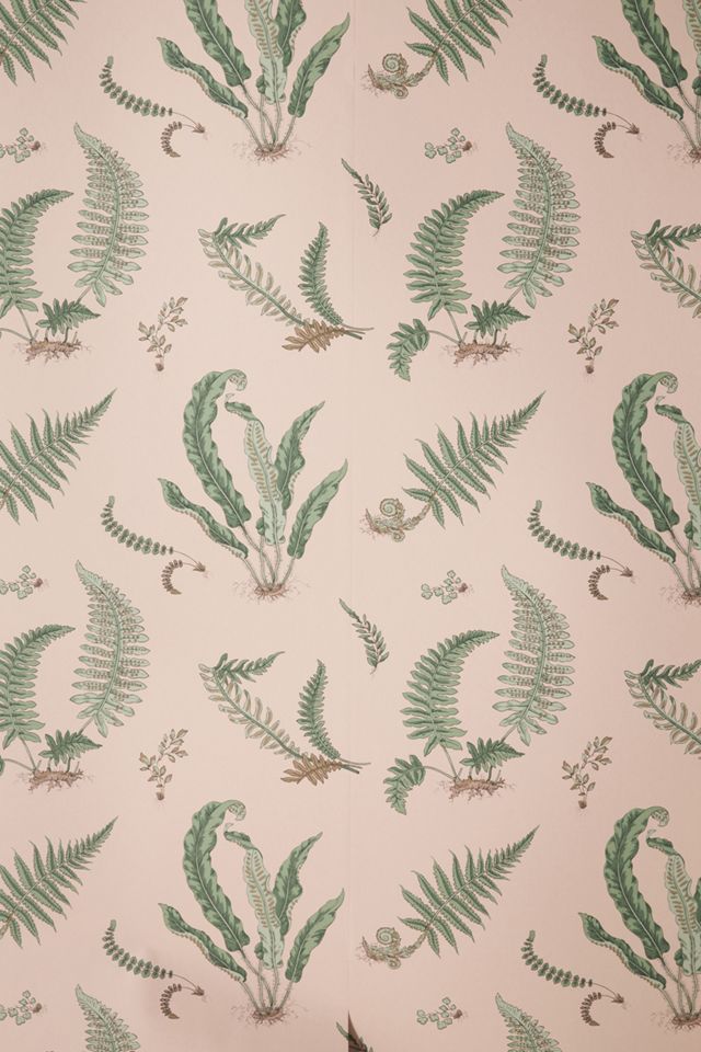 Sanderson Ferns Wallpaper | AnthroLiving