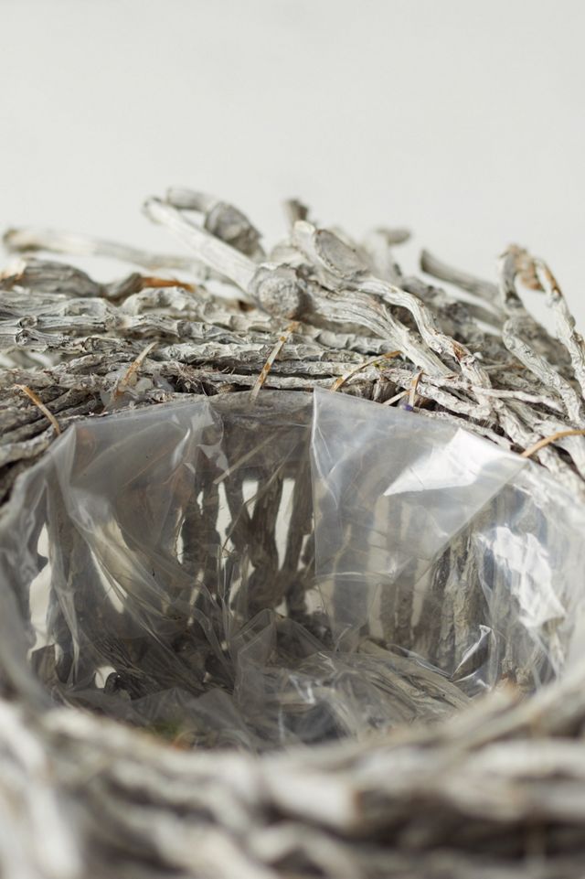 Rolled Branch Basket | Terrain