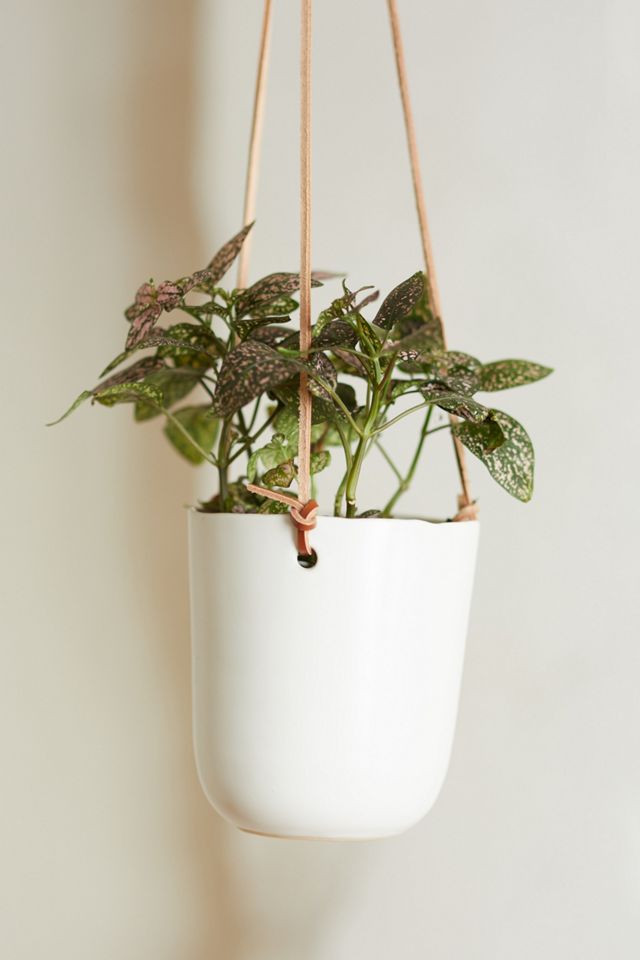Hanging Ceramic Pot | Terrain