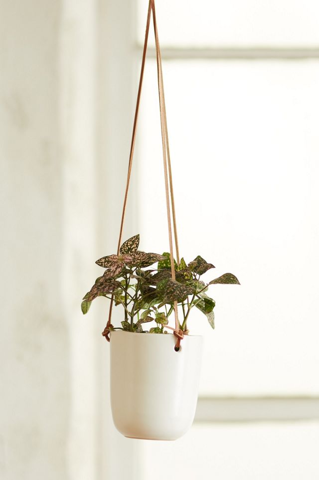 Hanging Ceramic Pot | Terrain