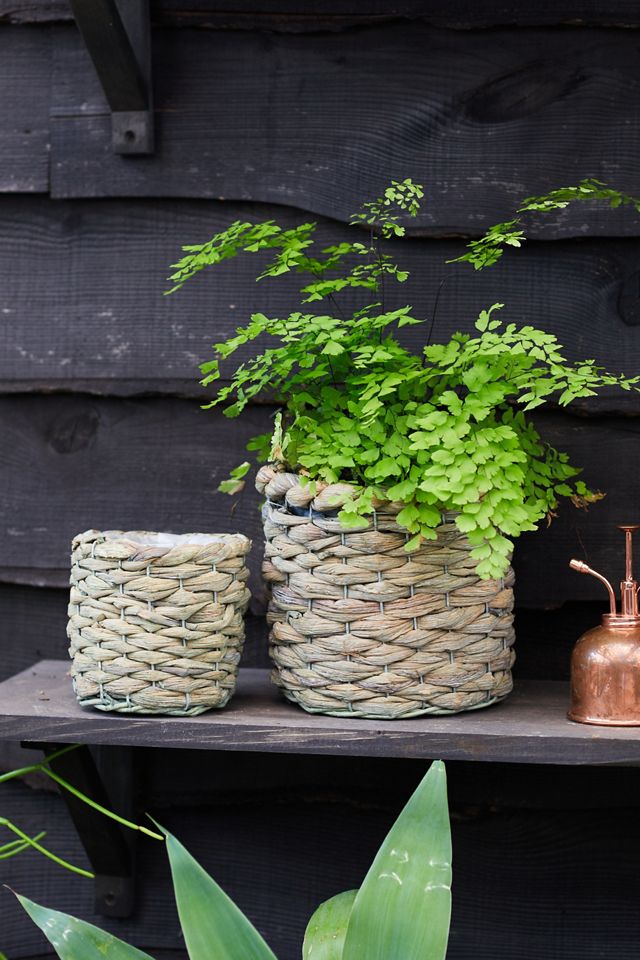 Braided Basket Pot | AnthroLiving