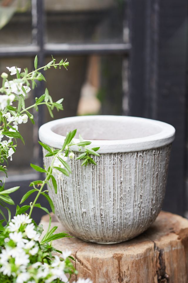Textured Ceramic Bell Planter | AnthroLiving