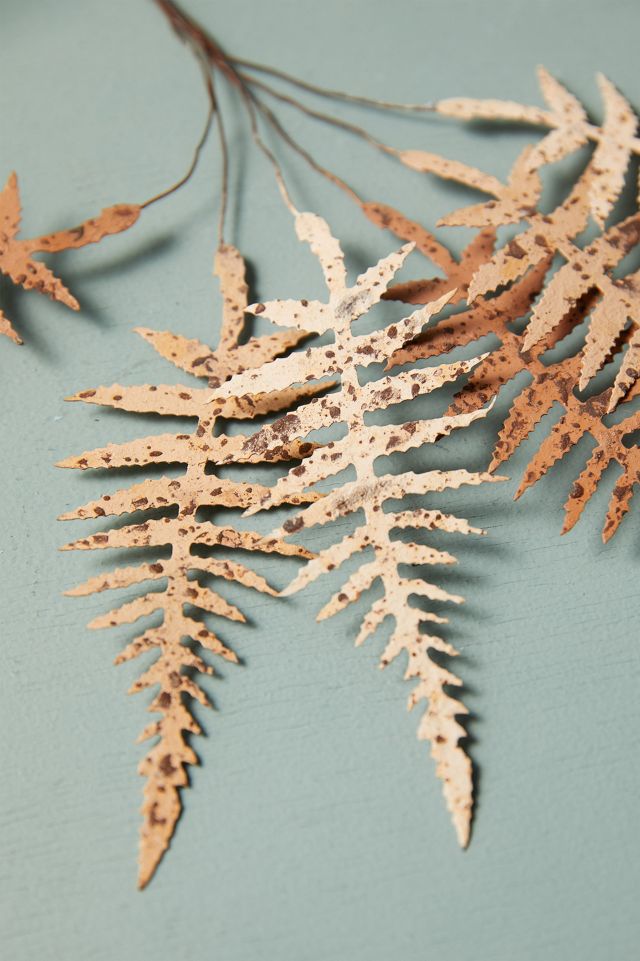 Fern Iron Bundle | Terrain