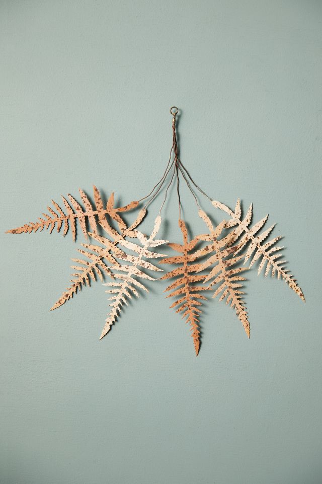 Fern Iron Bundle | Terrain