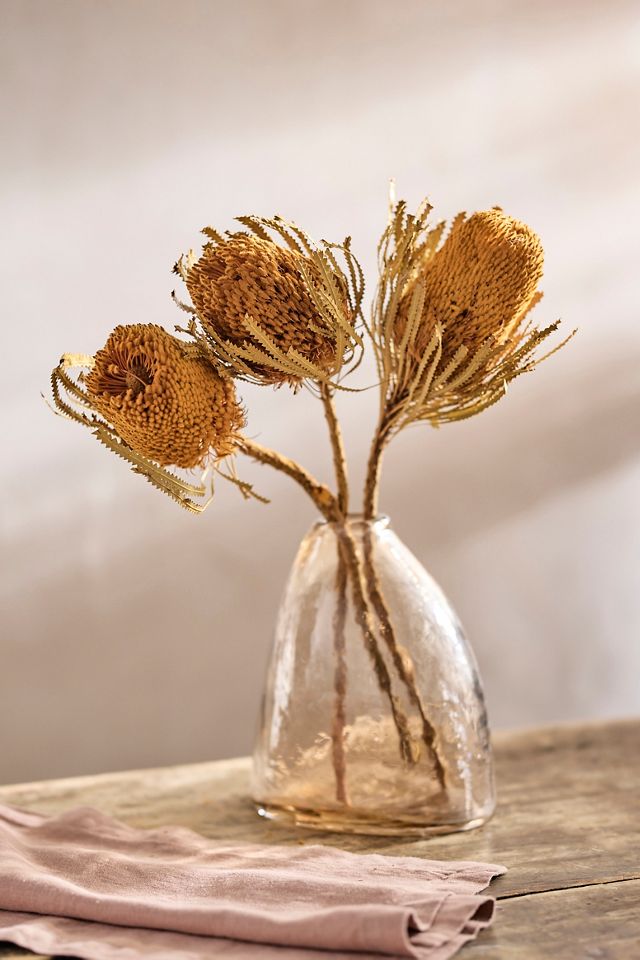 Dried Banksia Bunch | Terrain