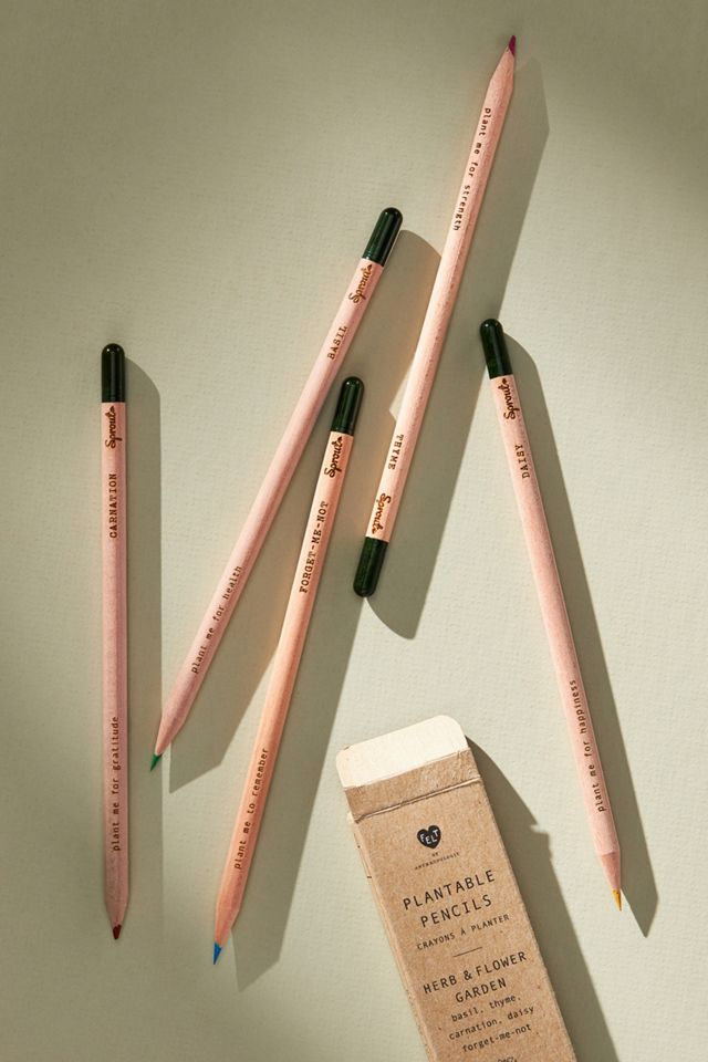 Sprout Plantable Colored Pencils, Set of 5 | AnthroLiving