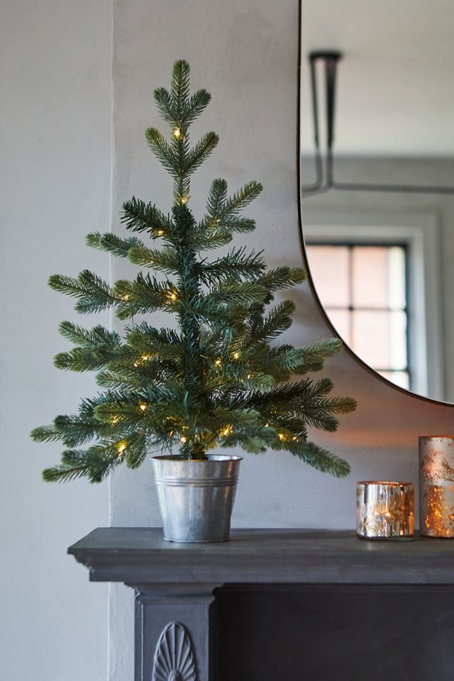 Faux Pre-lit LED Potted Geneva Tabletop Tree | Anthropologie