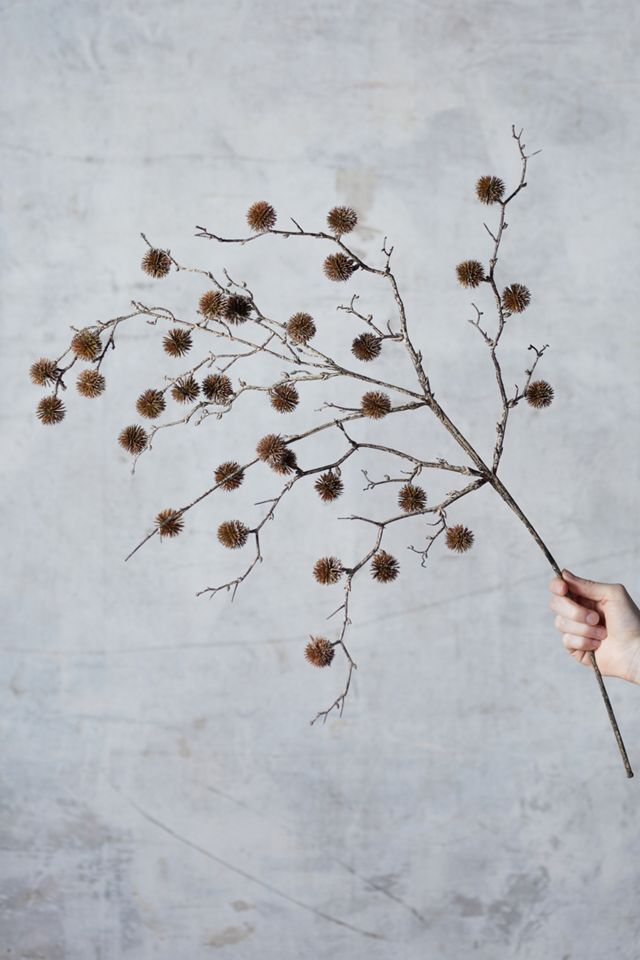 Faux Berry Spray | Terrain