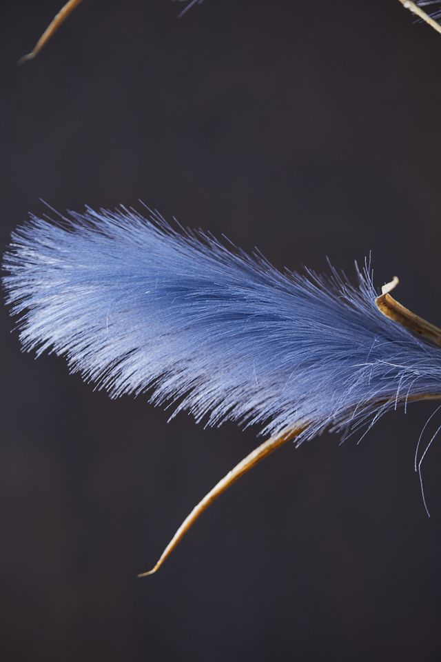 Faux Varia Feather Spray | AnthroLiving