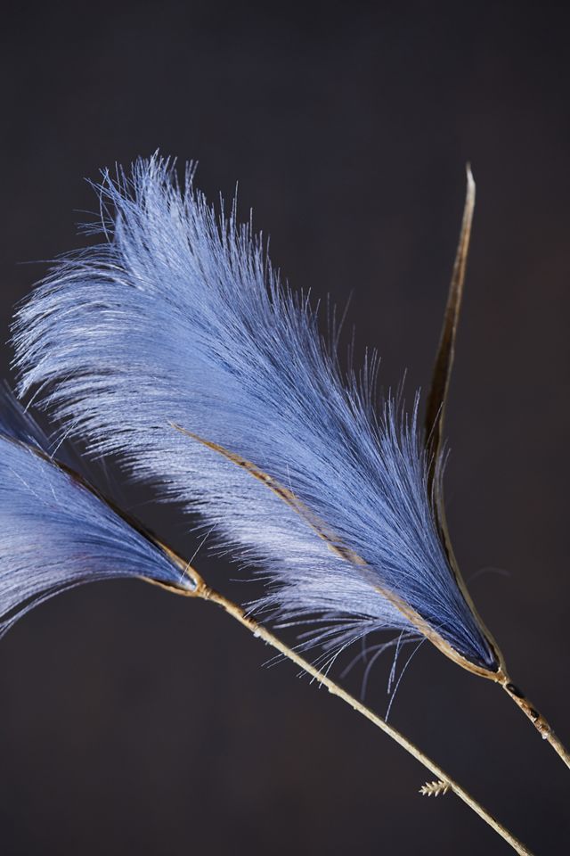 Faux Varia Feather Spray | AnthroLiving