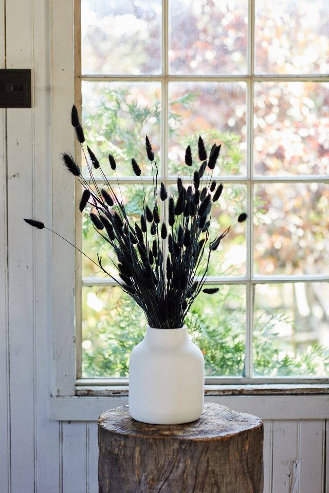 Preserved Lagurus Bunch | Anthropologie